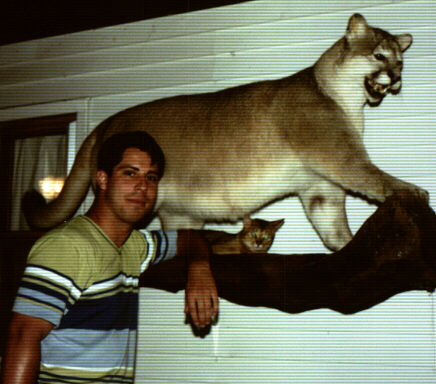 John, We know how much you loved Mason. He was a wonderful cat and a ...